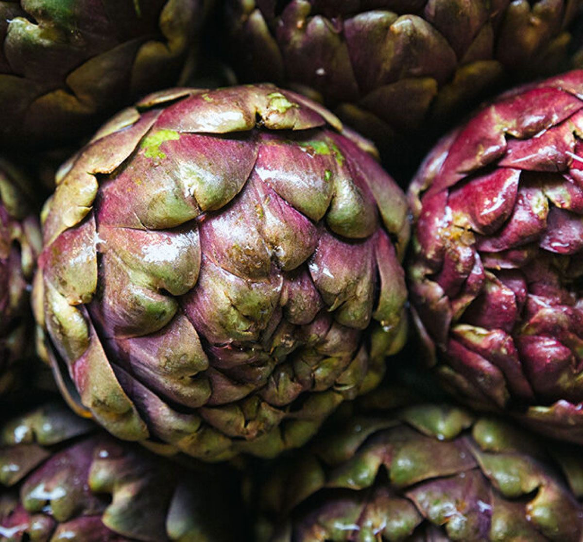 Bitterness: A Special Experience | NEFF