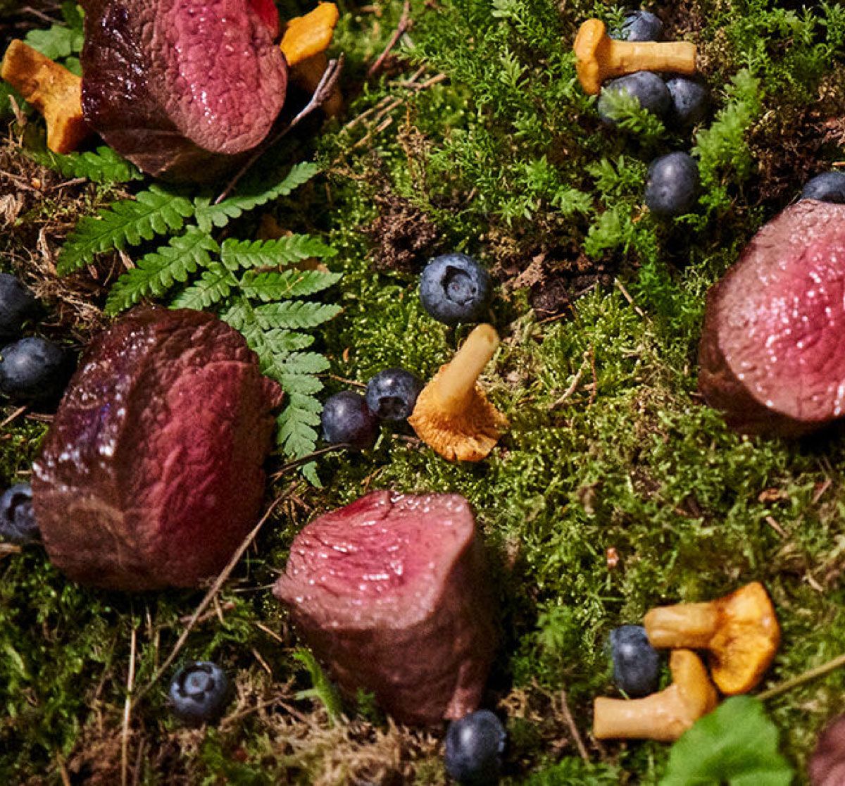 Recipe: Meat on Moss | NEFF