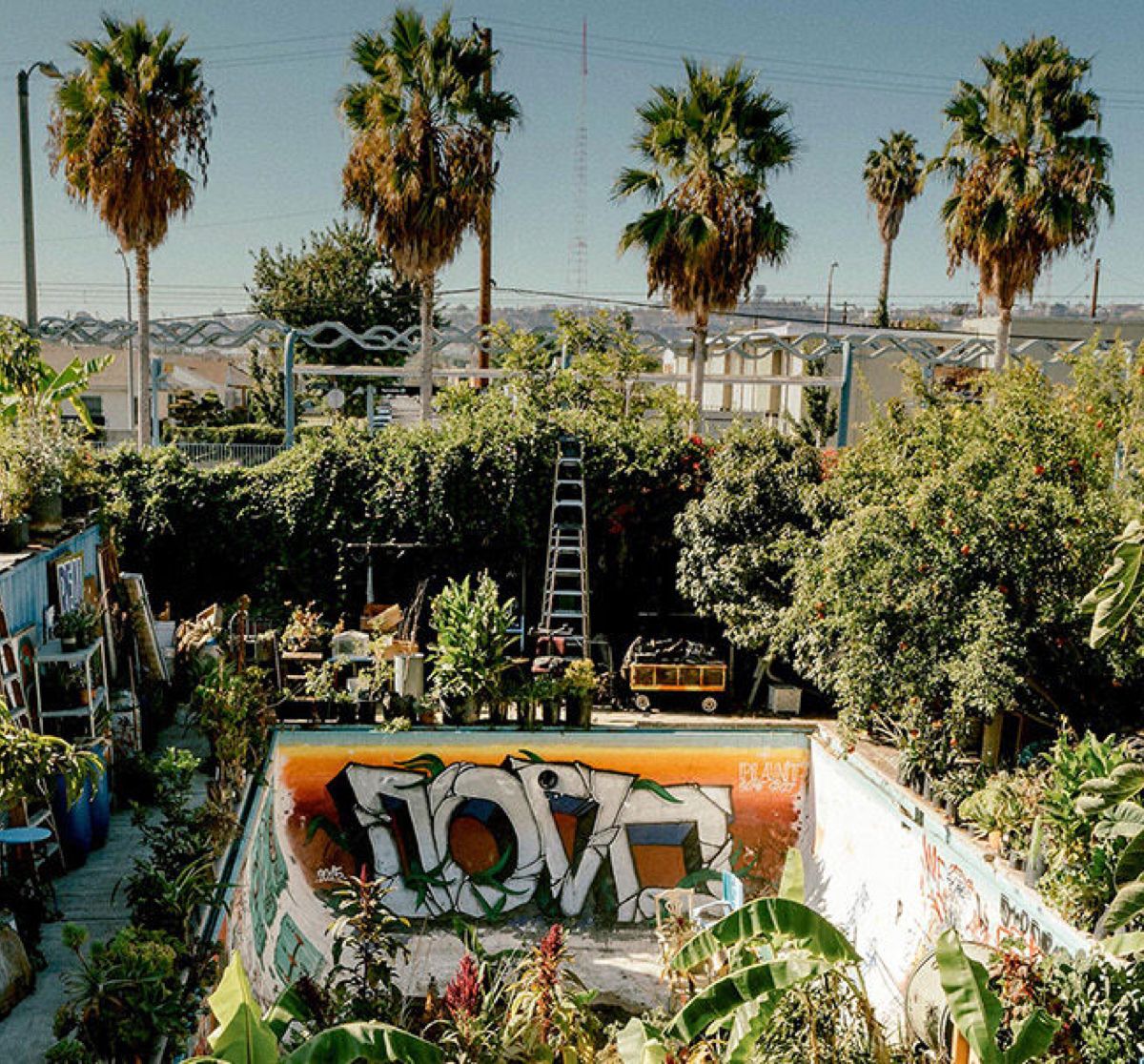 Gangsta's Paradise: Growing Vegetables on the Parkinglot | NEFF