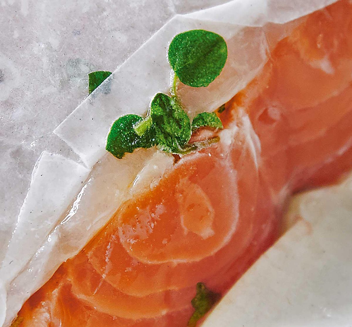 Tips & Tricks: Curing | NEFF