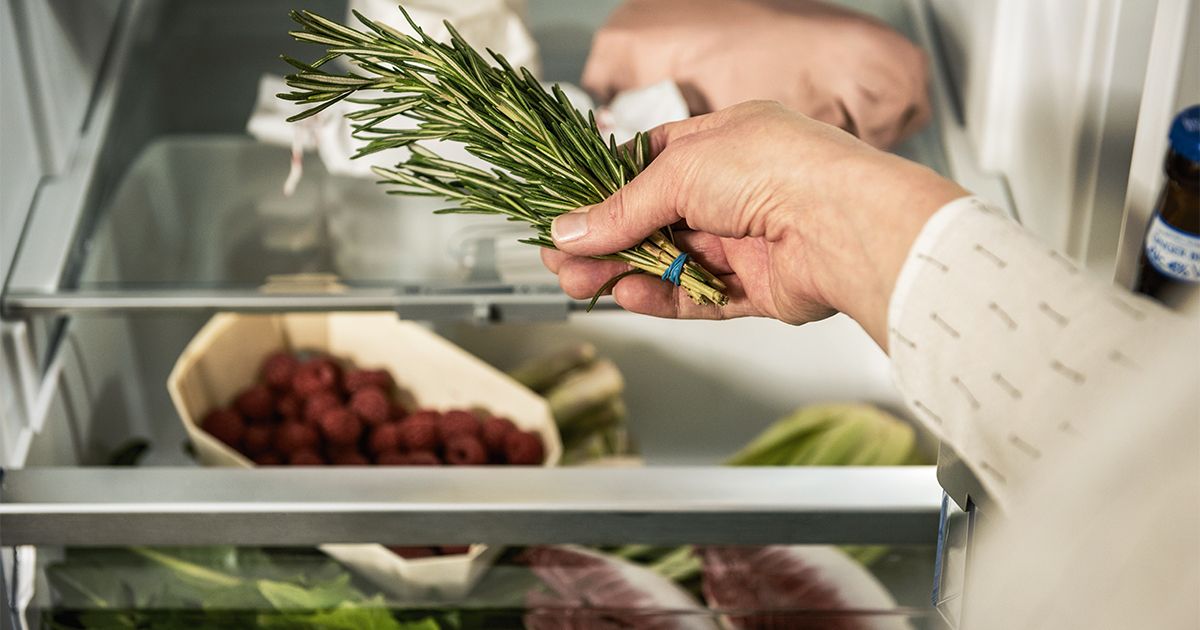 Réfrigérateurs encastrables - Réfrigérateurs 1 porte | NEFF