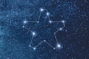 L’Atelier Appliance Studio - Montréal