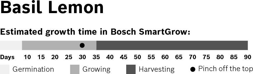 MSGZH002 Basilic citron | Bosch Electroménager France