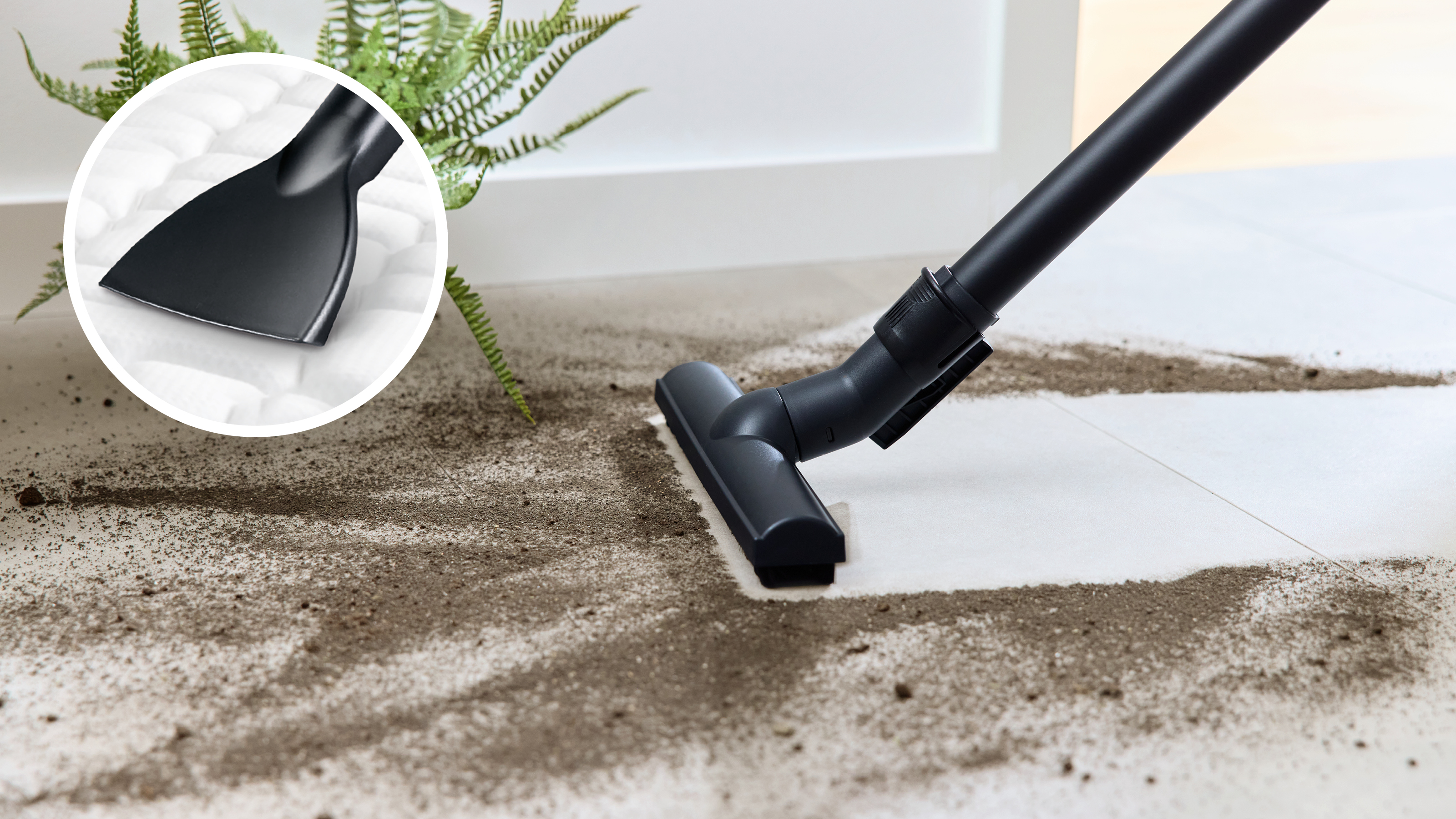 BGL38WHYG Bagged vacuum cleaner | BOSCH EG
