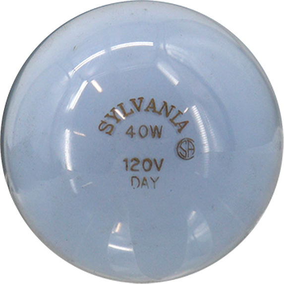 00491868 Lamp | THERMADOR US