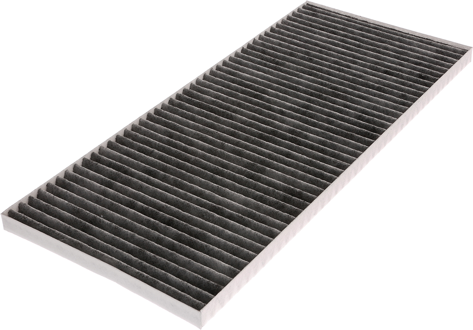 11059591 Standard odor filter | BOSCH SG
