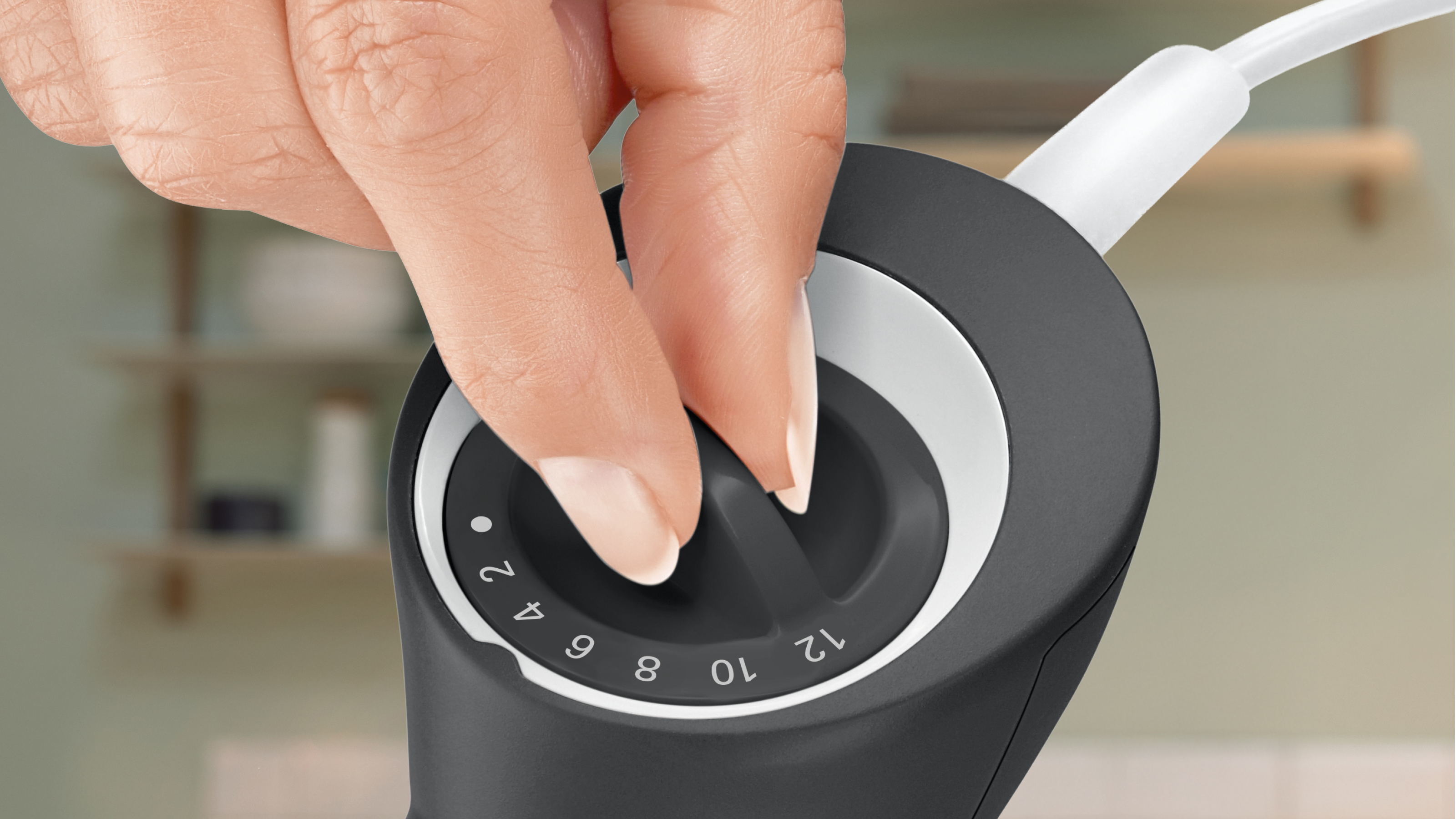 MS6CA4150G Hand blender | BOSCH AE