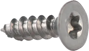 10021799 Screw | BOSCH US